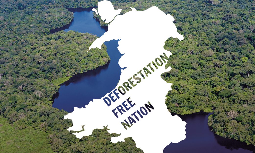 Press release: Charities call for Wales to become world’s first ...