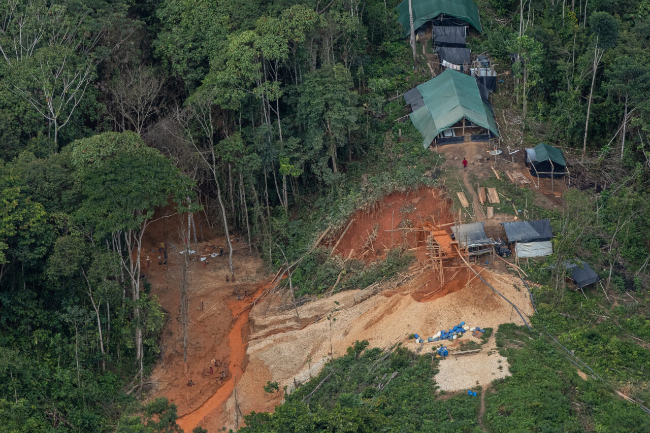Brazil: Protecting the Yanomami community and forests from illegal ...